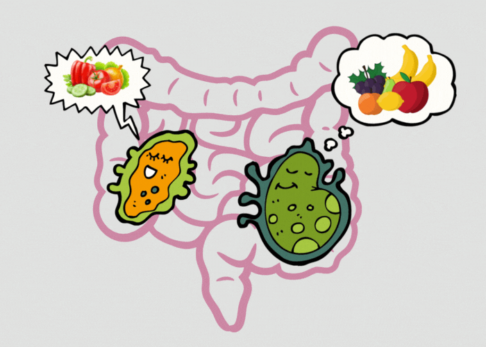 Střeva, stres a spánek - pohoda dřímá v našem břiše