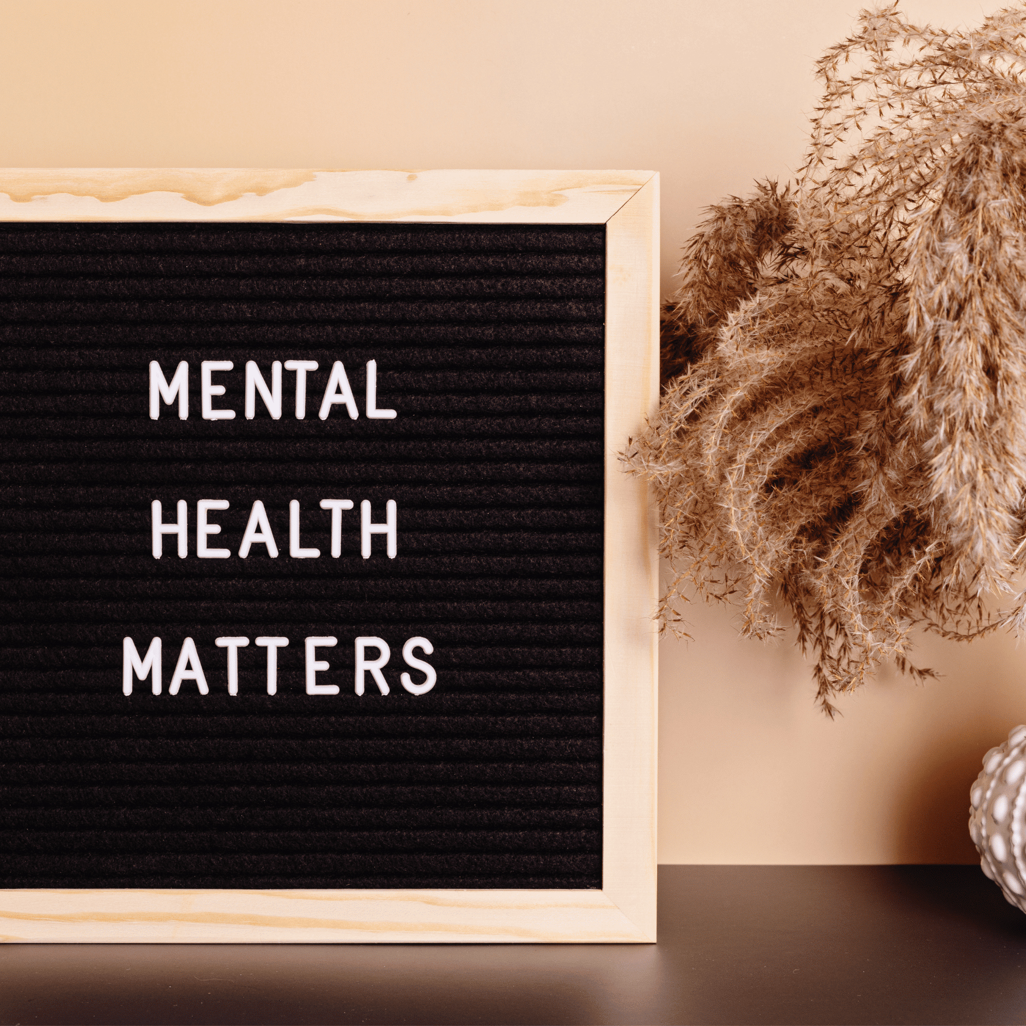 Psychobiotics & Mental Health: The Gut-Brain-Axis