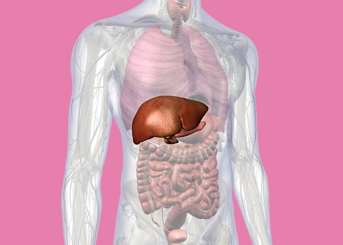 Liver Disease and Liver Cirrhosis - Symptoms and Treatment