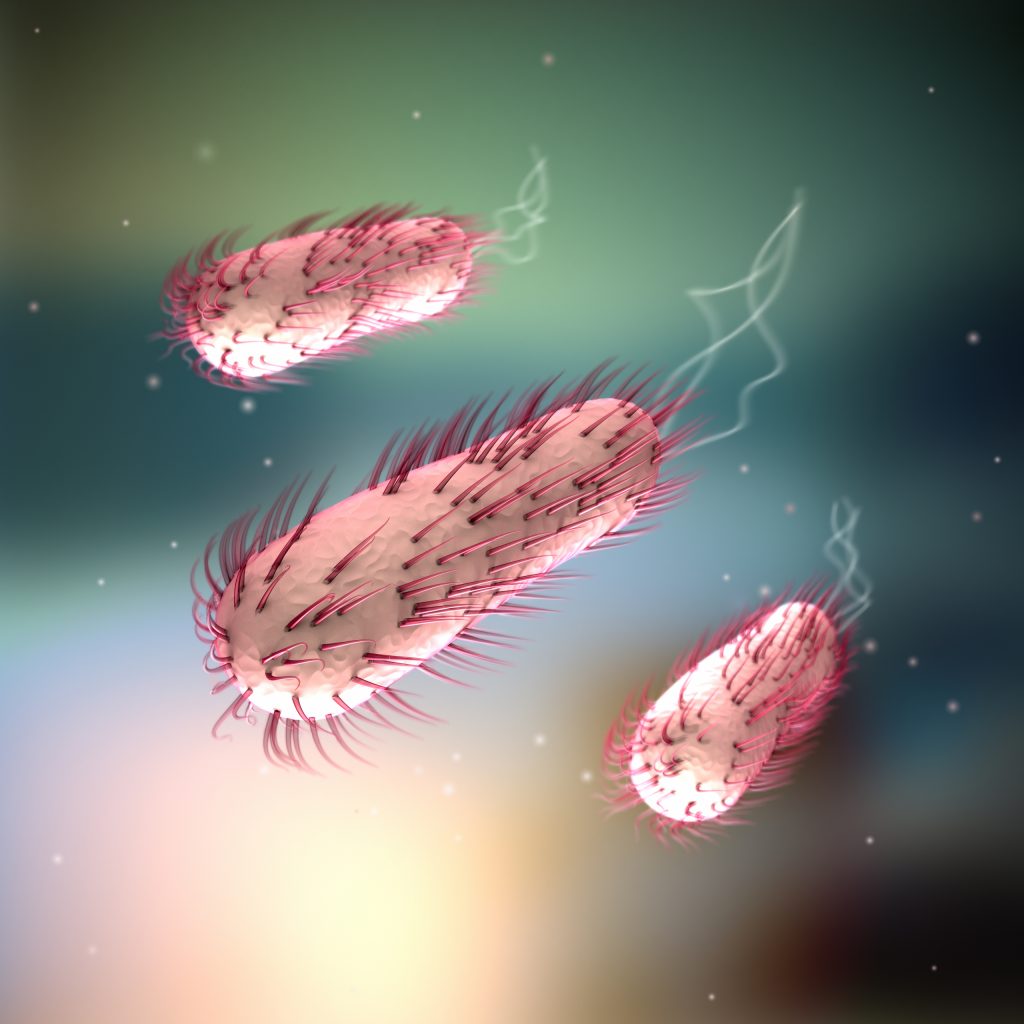 Pathogenic bacteria in detail - OMNi-BiOTiC®