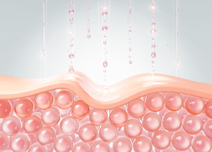 Piel y flora intestinal | ¿Hay probióticos para la piel?