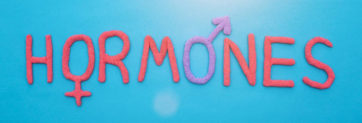 Les hormones et leur rapport avec l'intestin - OMNi-BiOTiC®