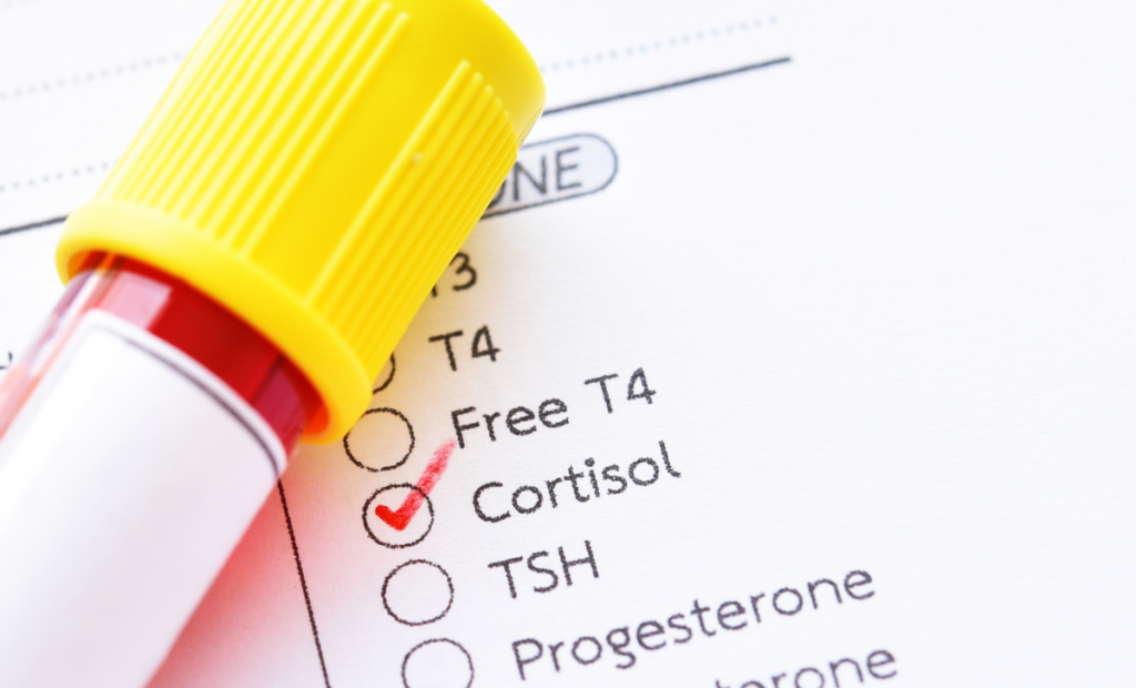 Le cortisol : tout savoir sur l'hormone du stress