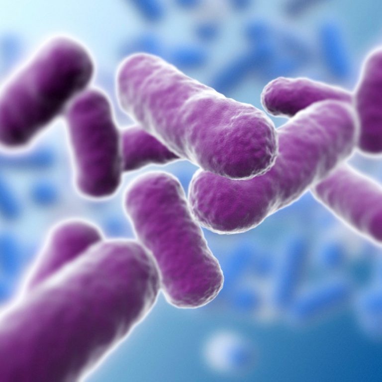 Che cos'è OMNi-BiOTiC®? - OMNi-BiOTiC® batteri probiotici