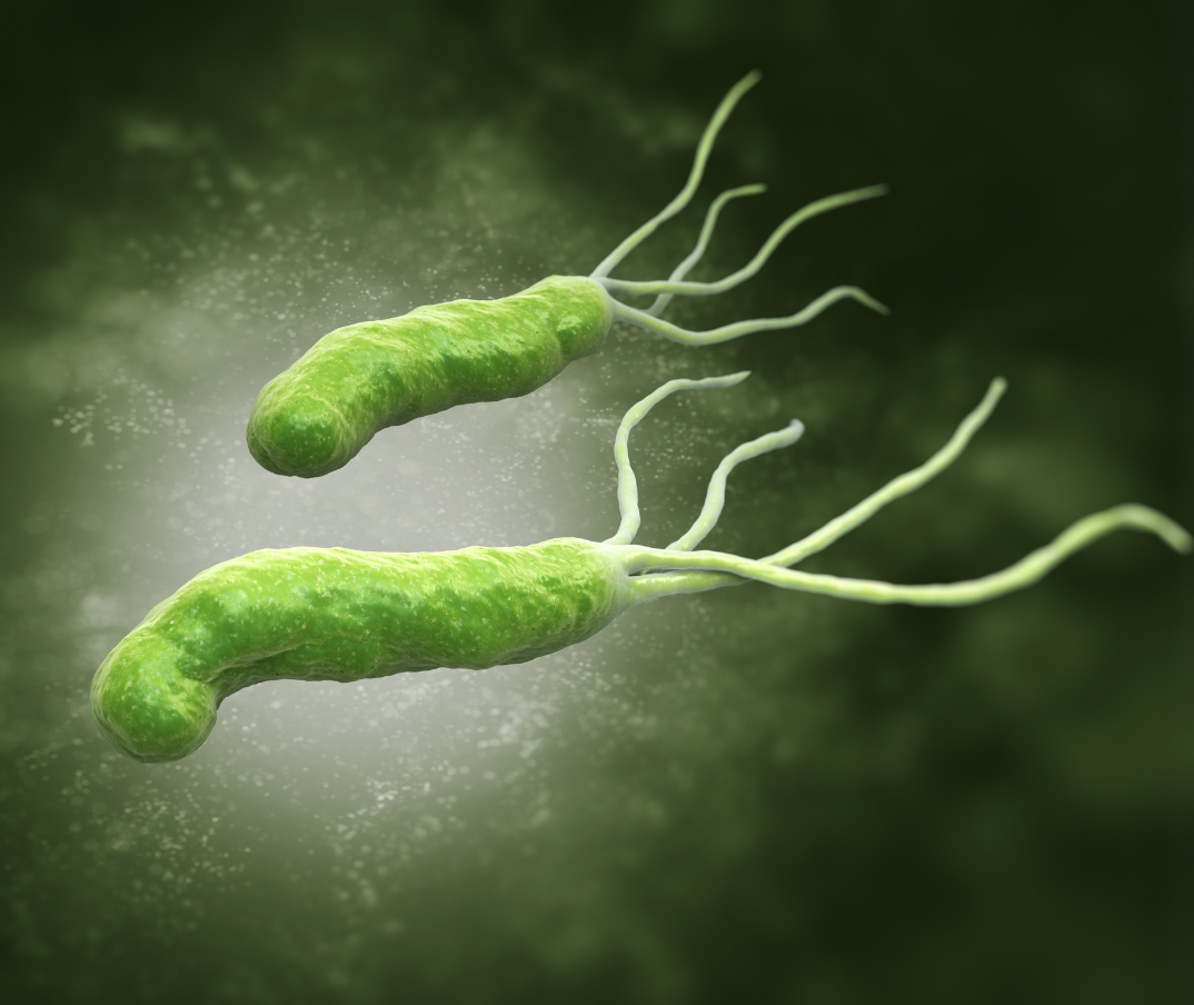 Helicobacter pylori - príznaky, test a liečba